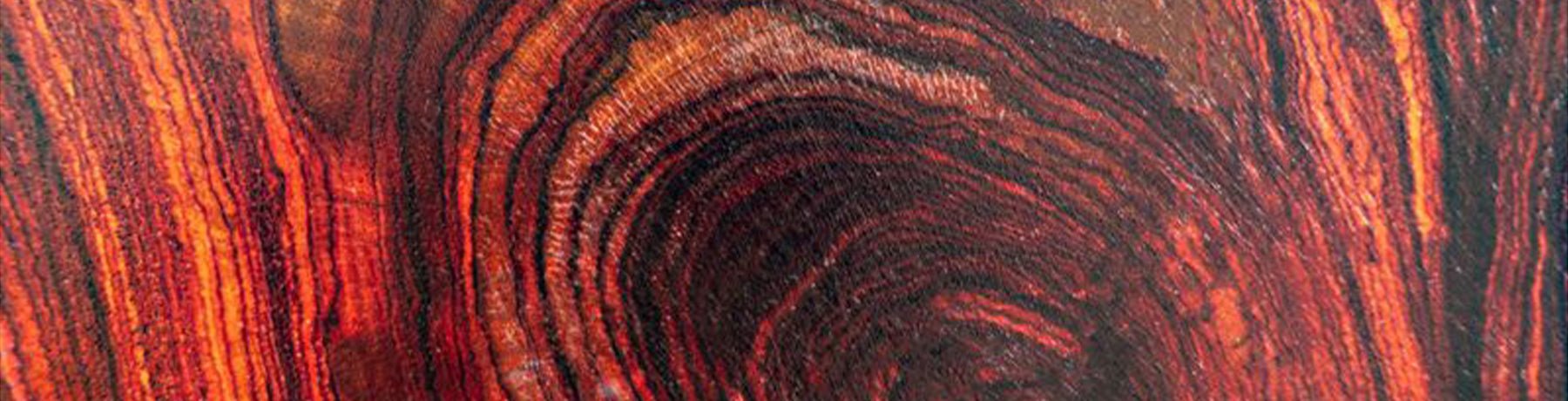 What exactly is rosewood and why is it so sought after? – Ethra ...